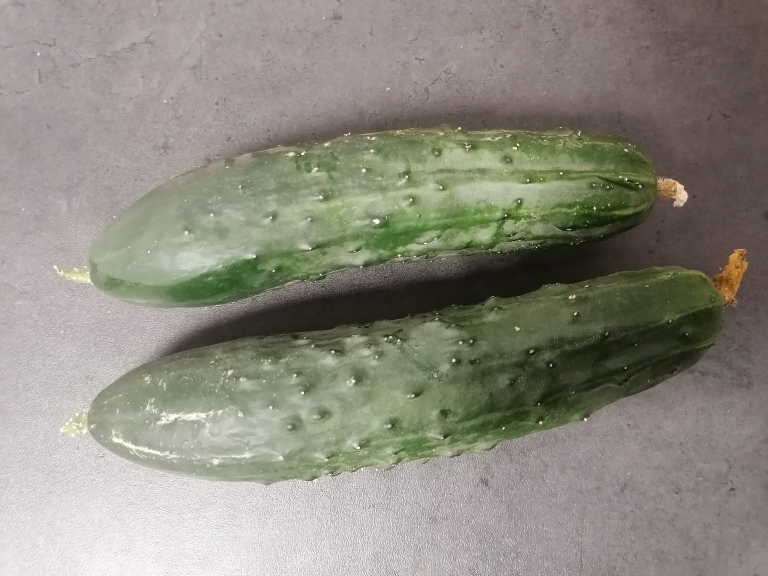 Concombre Noa – Origine France – | Simond Fruits & Légumes