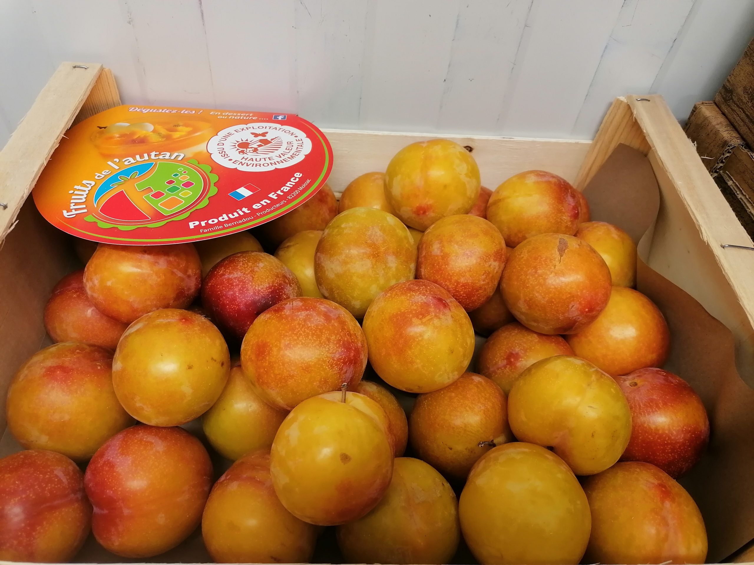 PRUNE JAUNE OCTOBERSUN- Origine FRANCE | Simond Fruits & Légumes