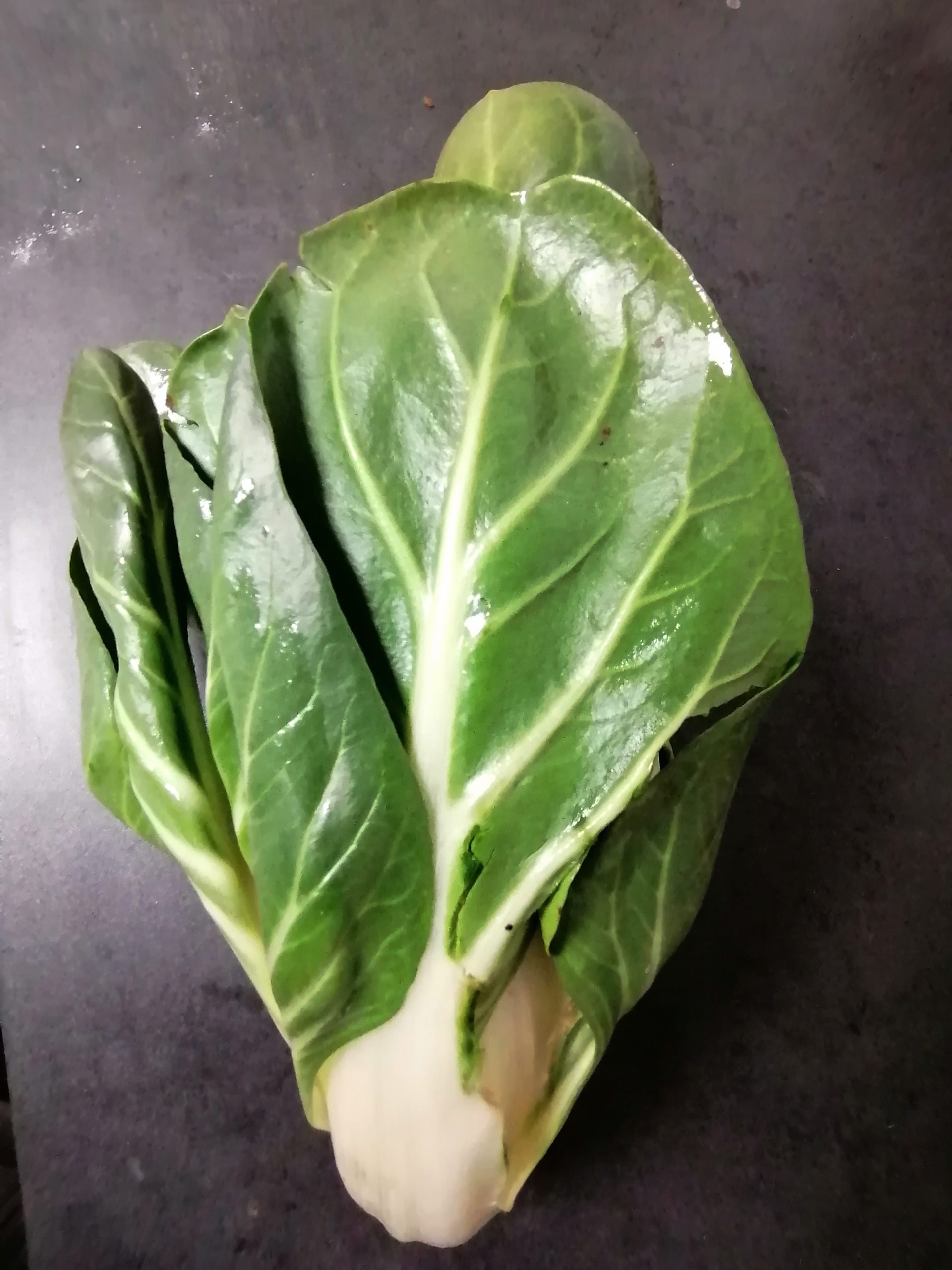 PIED DE BETTE – Origine ITALIE- | Simond Fruits & Légumes