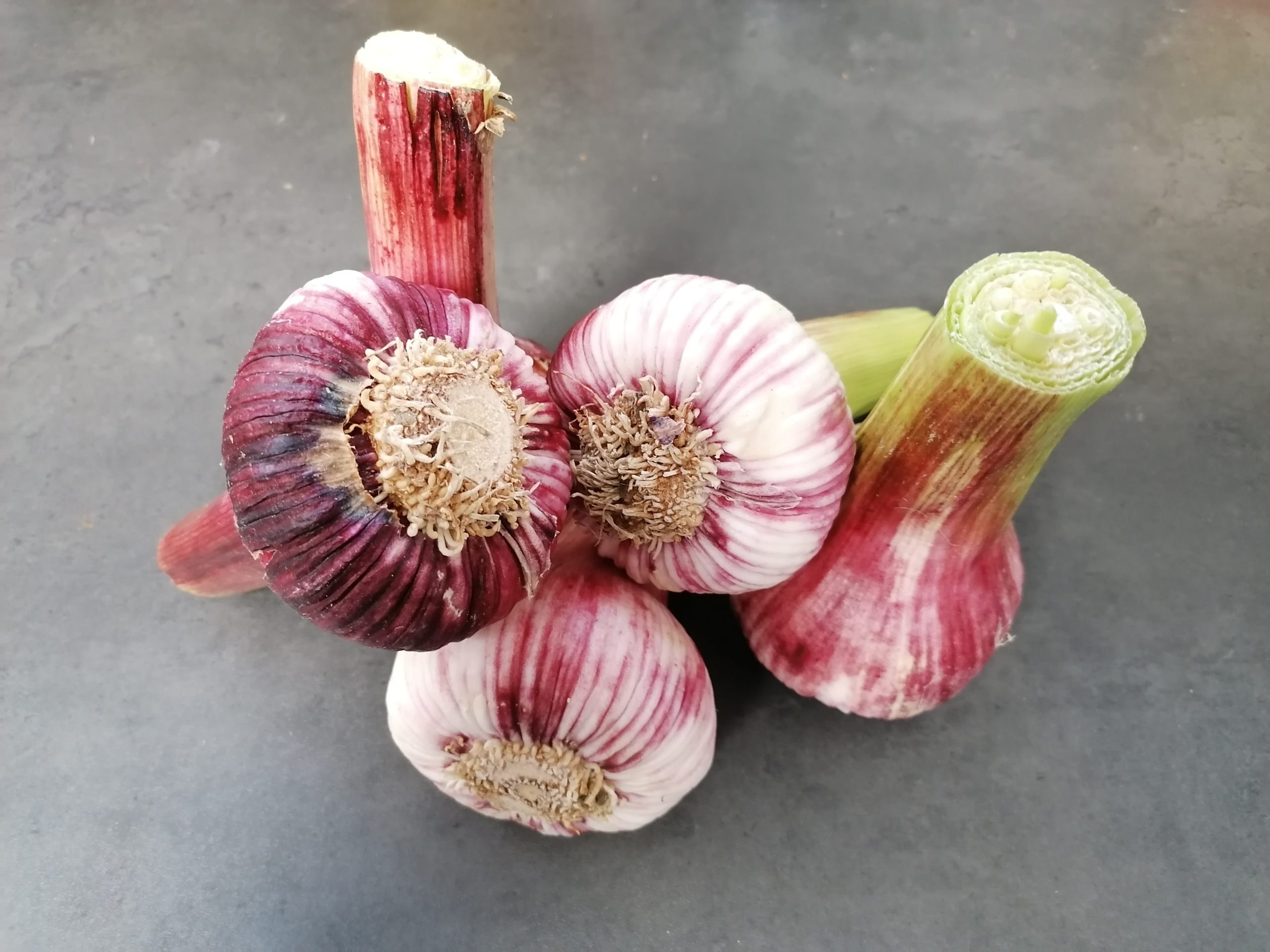 Ail FRAIS – Origine FRANCE – | Simond Fruits & Légumes