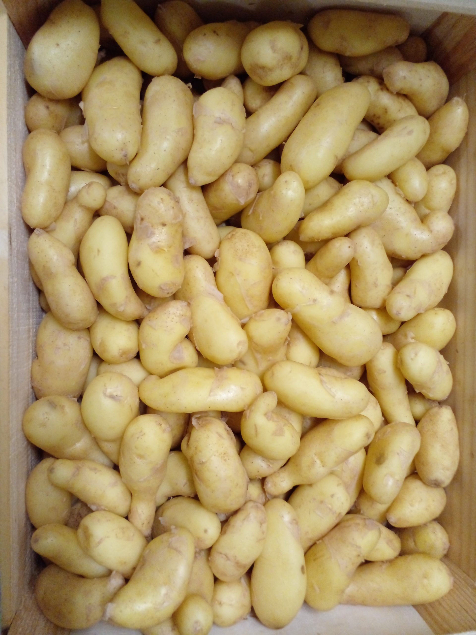 PDT NOUVELLE LINZER DELIKATESS CALIBRE MOYEN – Origine FRANCE- | Simond ...