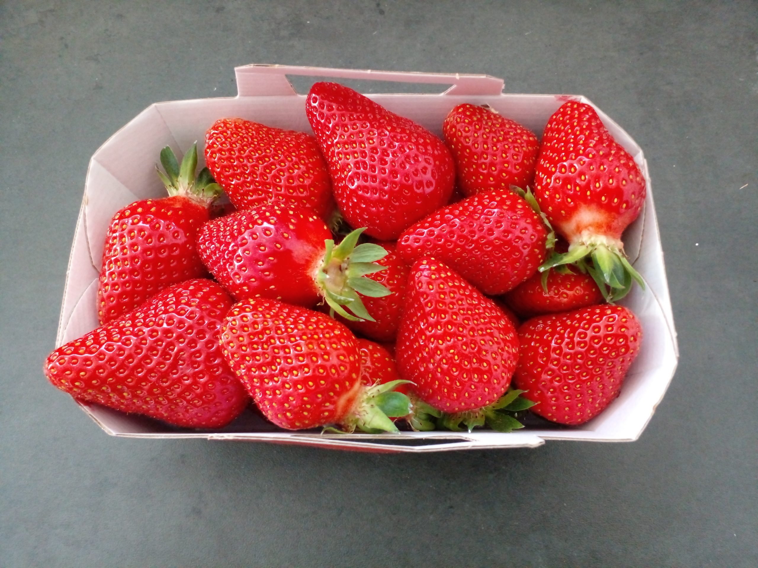Fraise CHARLOTTE DE DORDOGNE en Barquette de 500g – Origine FRANCE ...