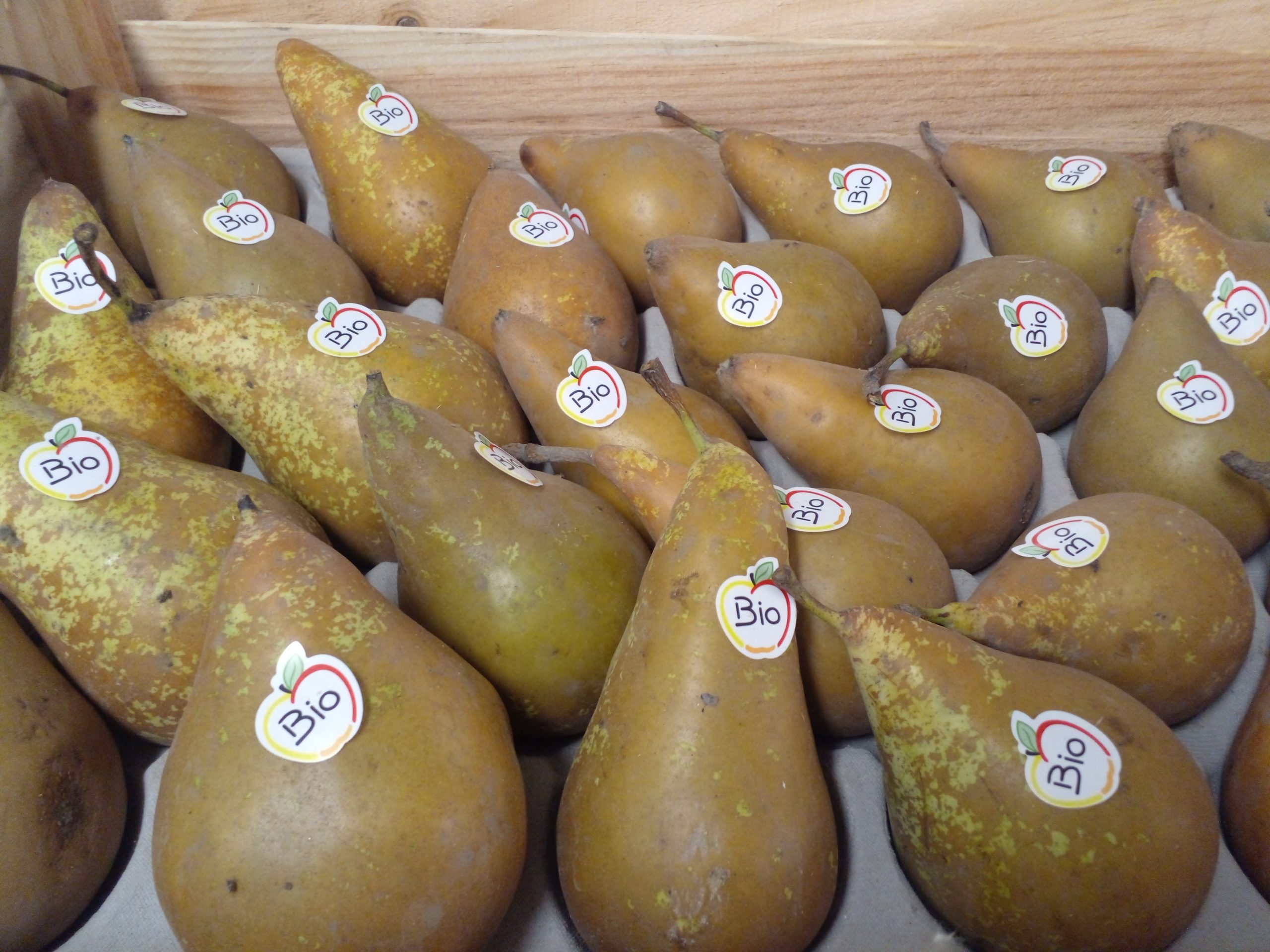 Poire CONFERENCE PROMO PETIT CALIBRE – Origine FRANCE – | Simond Fruits ...